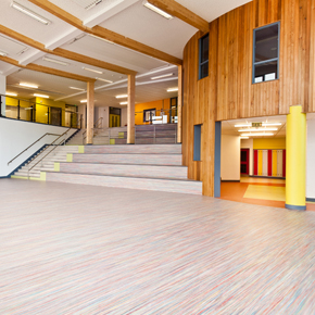 Forbo Marmoleum creates nature inspired design at Temple Carrig School ...
