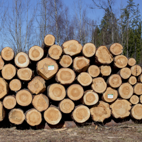 Sodra: Timber - the uniquely renewable building material - Buildingtalk
